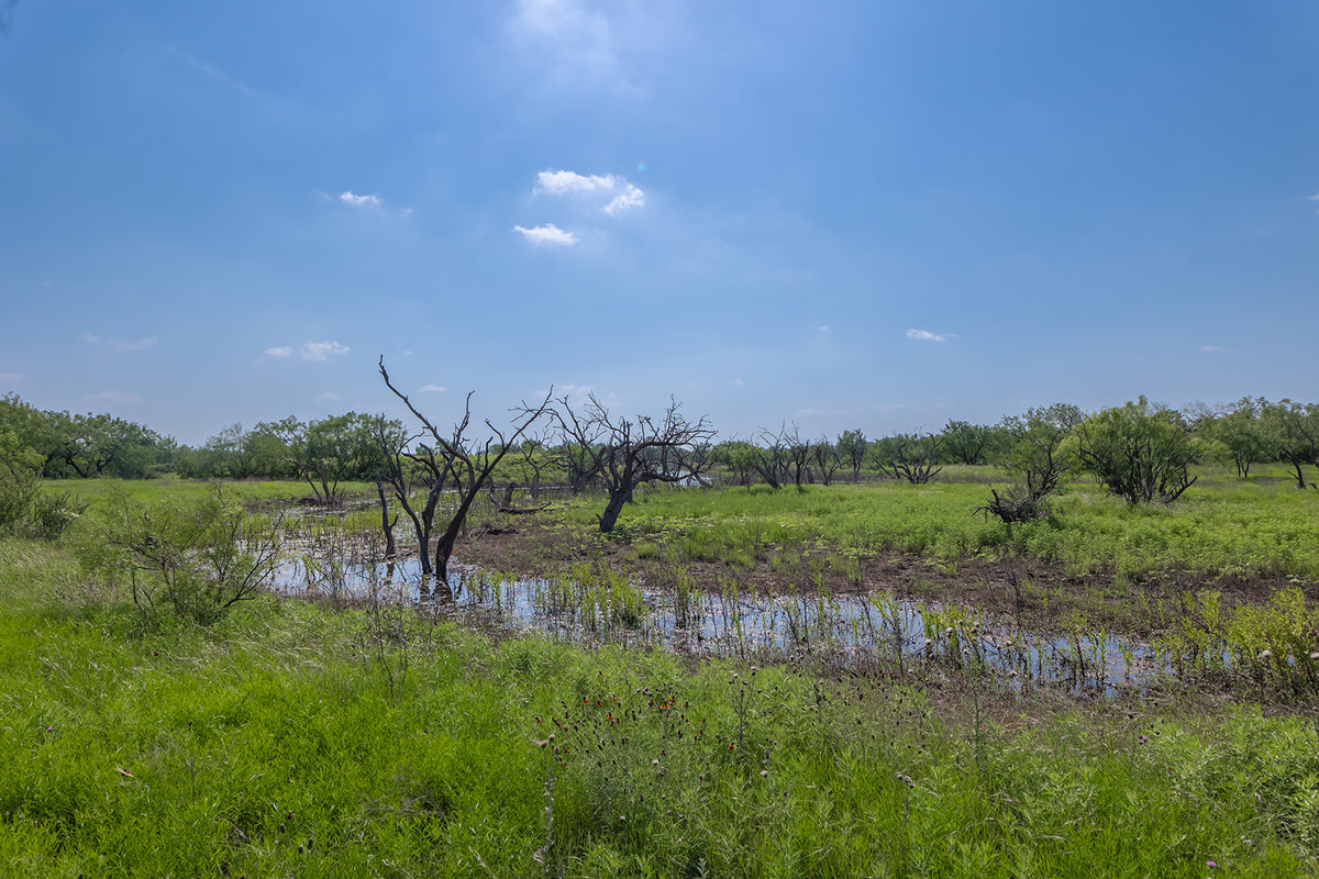 The Elbow Ranch - Jacoby Land Co