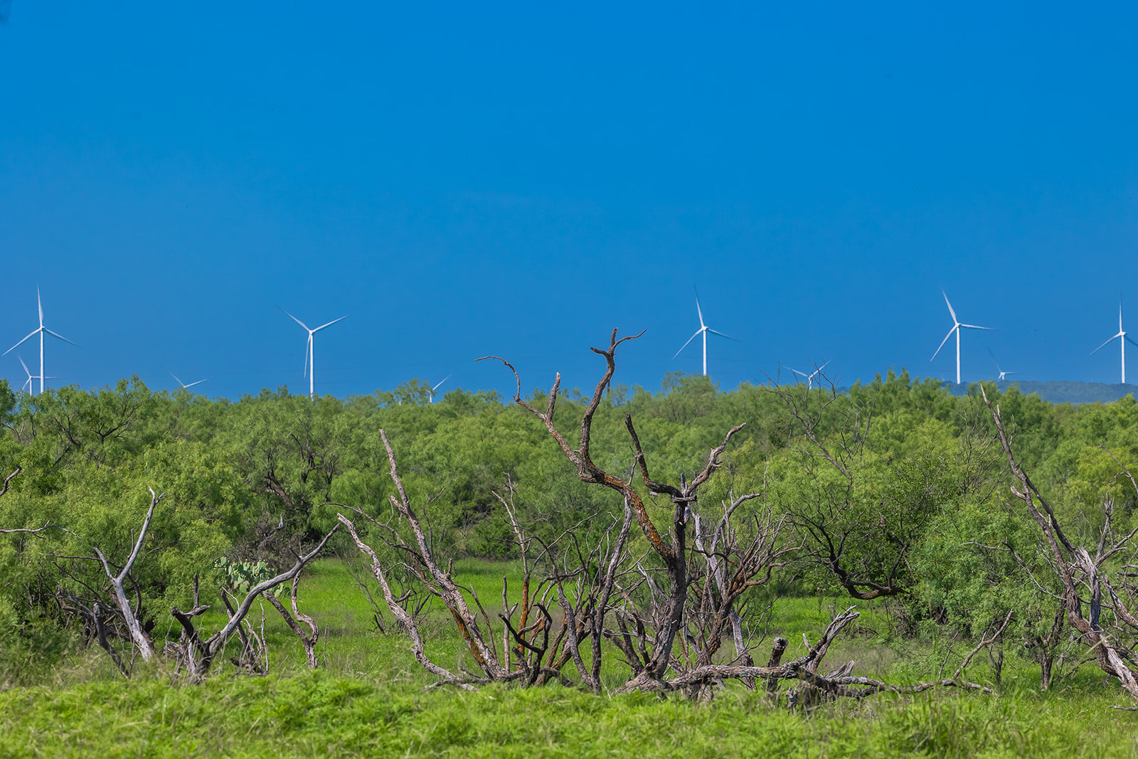 The Elbow Ranch - Jacoby Land Co