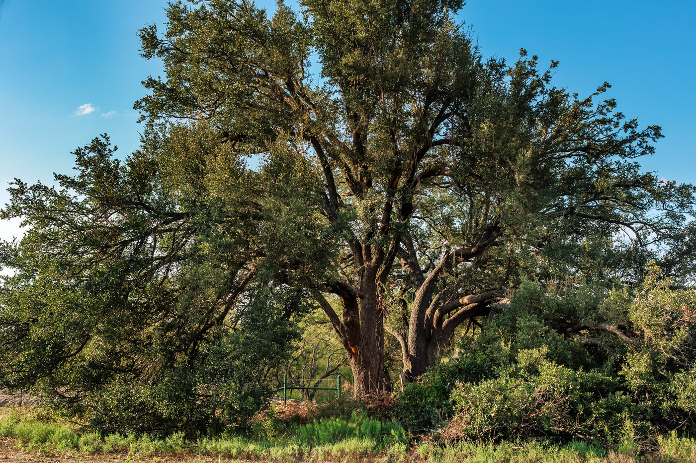 LISTINGS - Jacoby Land Co