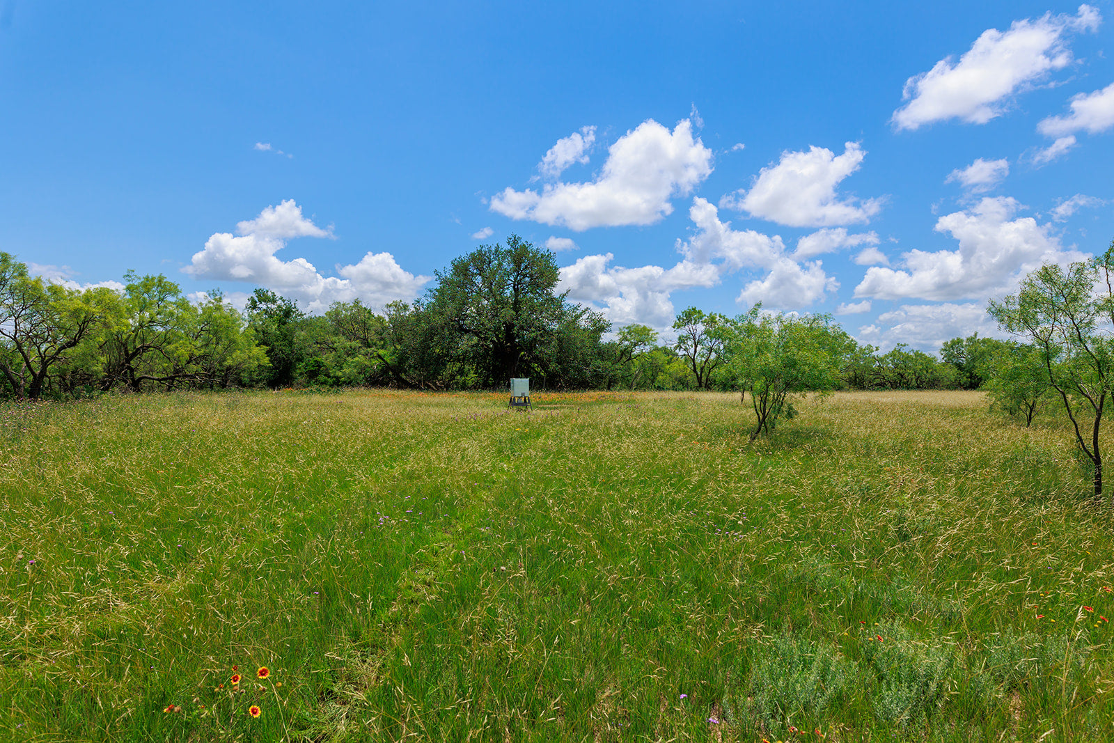 LISTINGS - Jacoby Land Co