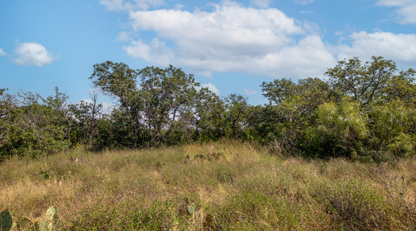 Sunset Ranch | 25.02 Acres | McCulloch County, Texas - Jacoby Land Co