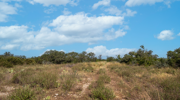 Sunset Ranch | 25.02 Acres | McCulloch County, Texas - Jacoby Land Co